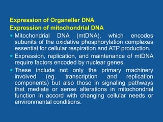 assignment on inheritance and expressio of organeller dna 1 | PPT