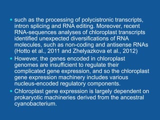 assignment on inheritance and expressio of organeller dna 1 | PPT
