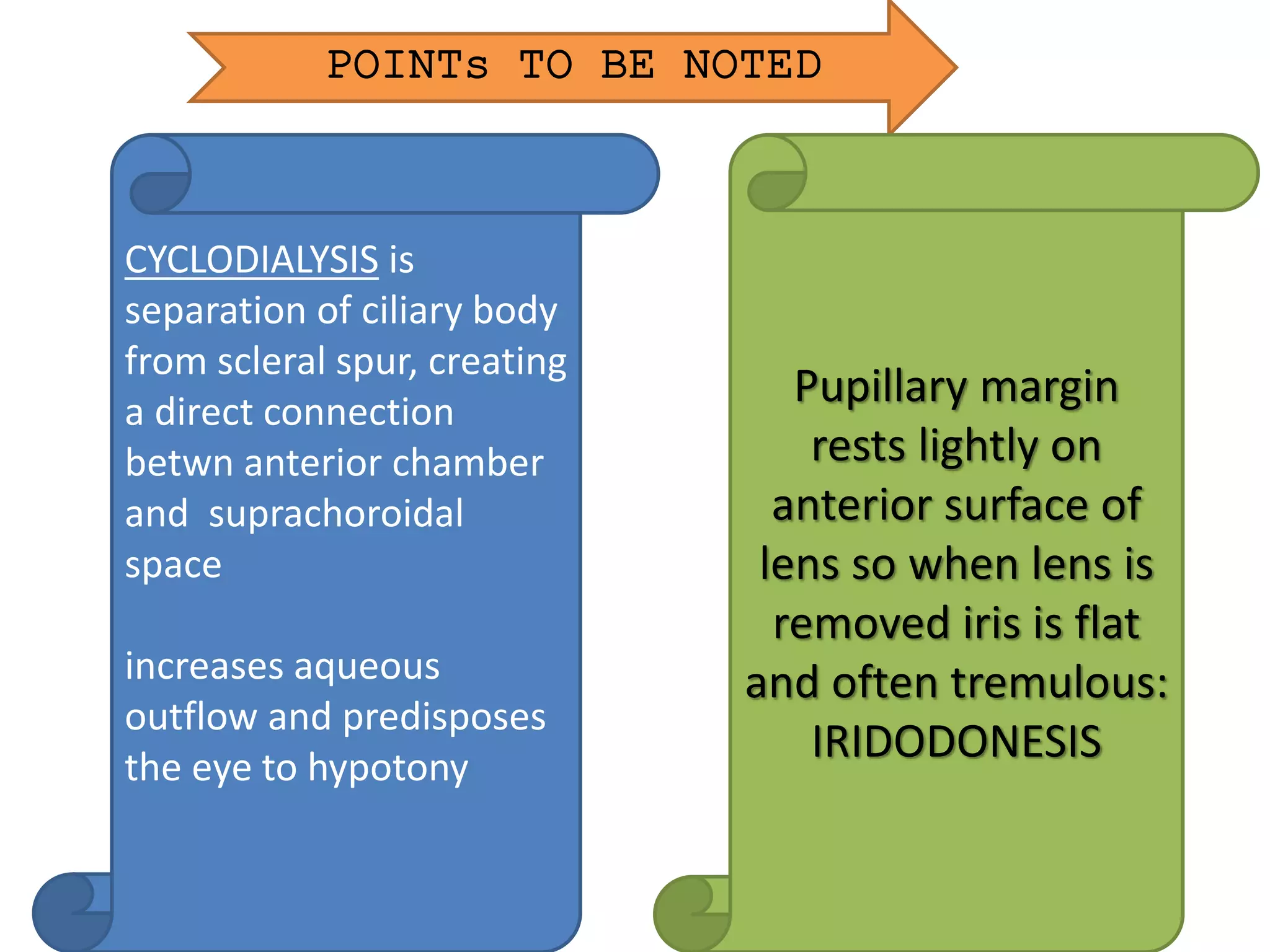 Uvea: Anatomy, Nerve & Vascular Supply, Clinical Correlation | PPTX
