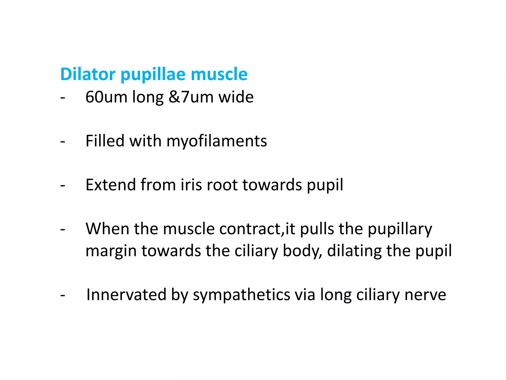 Uvea: Anatomy, Nerve & Vascular Supply, Clinical Correlation | PPTX