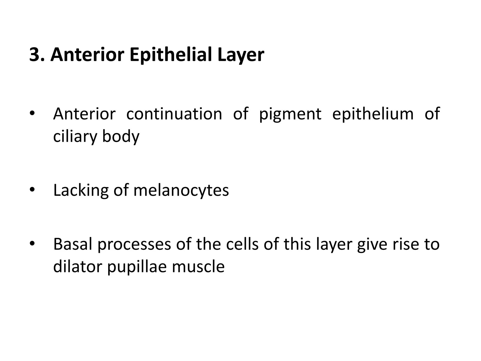 Uvea: Anatomy, Nerve & Vascular Supply, Clinical Correlation | PPTX