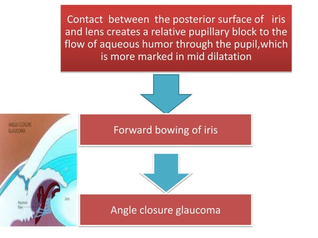 Uvea: Anatomy, Nerve & Vascular Supply, Clinical Correlation | PPTX ...