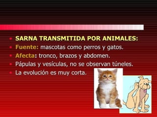 la Sarna o escabiosis | PPT