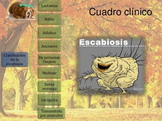 la Sarna o escabiosis | PPT