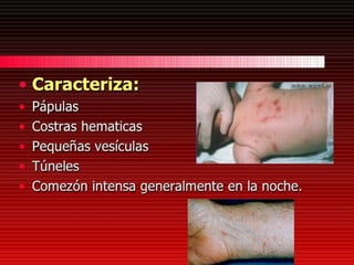 la Sarna o escabiosis | PPT
