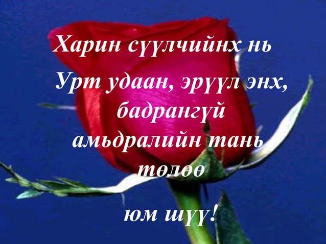 sarnai tsetsgiin nuuts | PPT