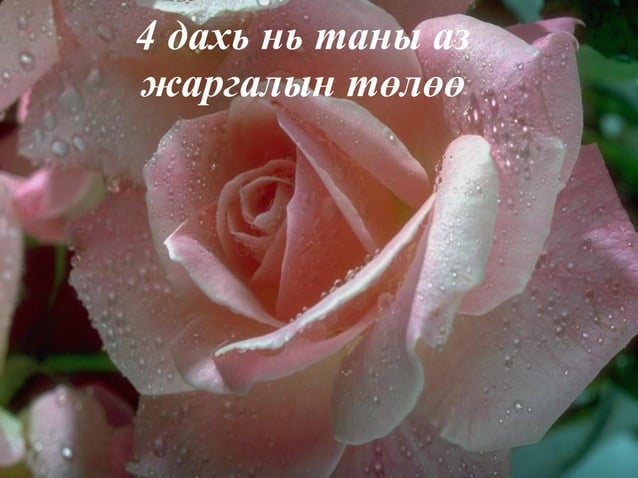 sarnai tsetsgiin nuuts | PPT