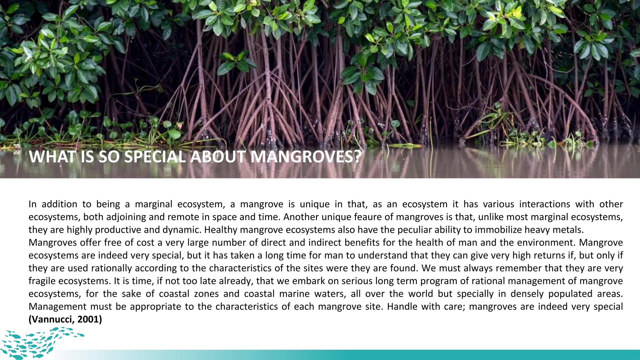 Community-based Mangrove Restoration Technique: Selection of site ...