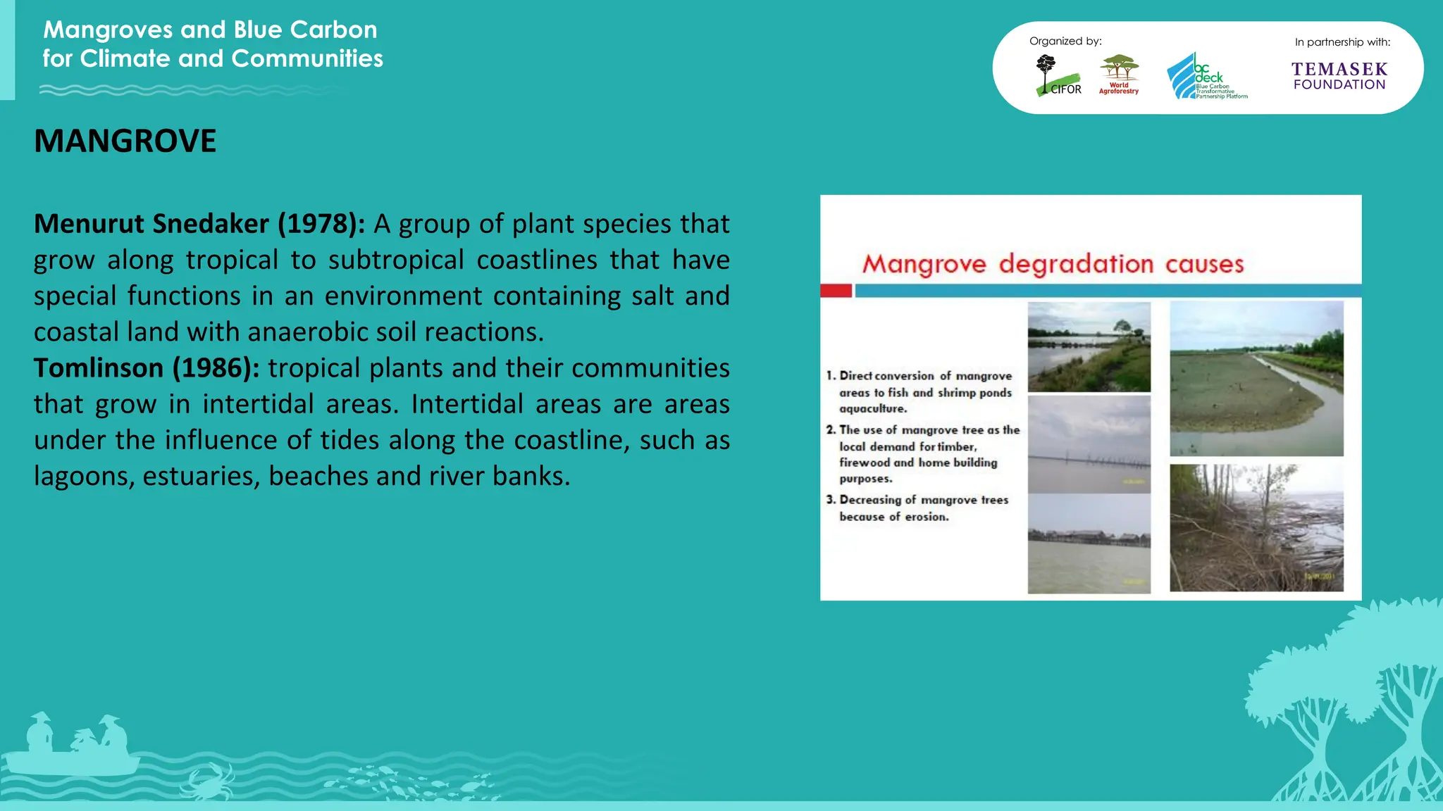 Community-based Mangrove Restoration Technique: Selection of site ...