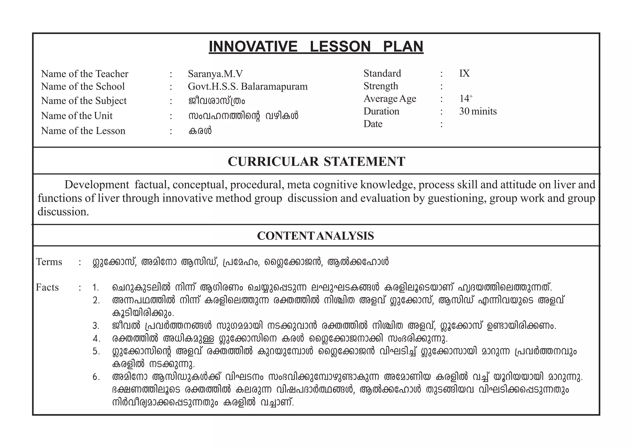 Innovative lesson plan | PDF