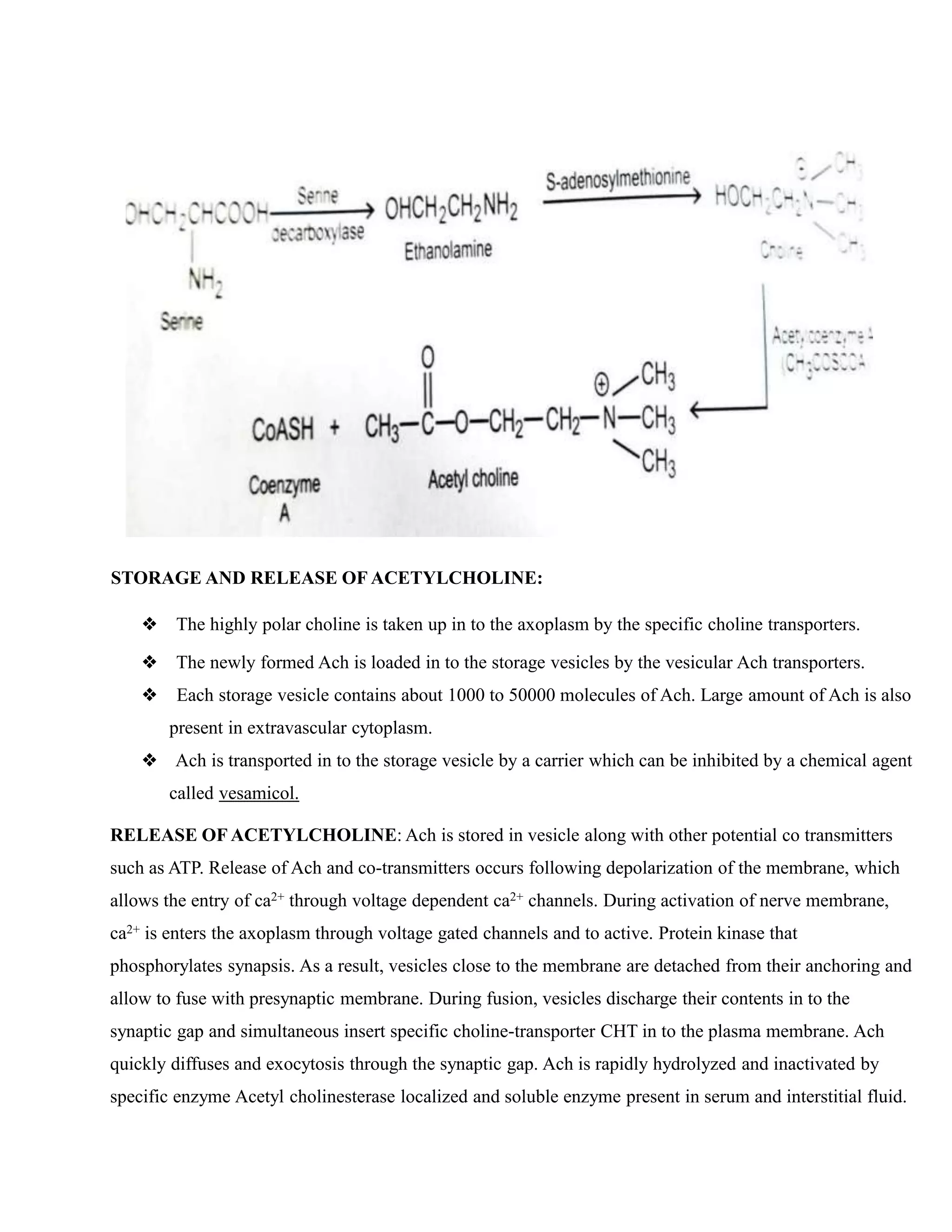 Sar of choinergic & anticholinergic drugs | PPT
