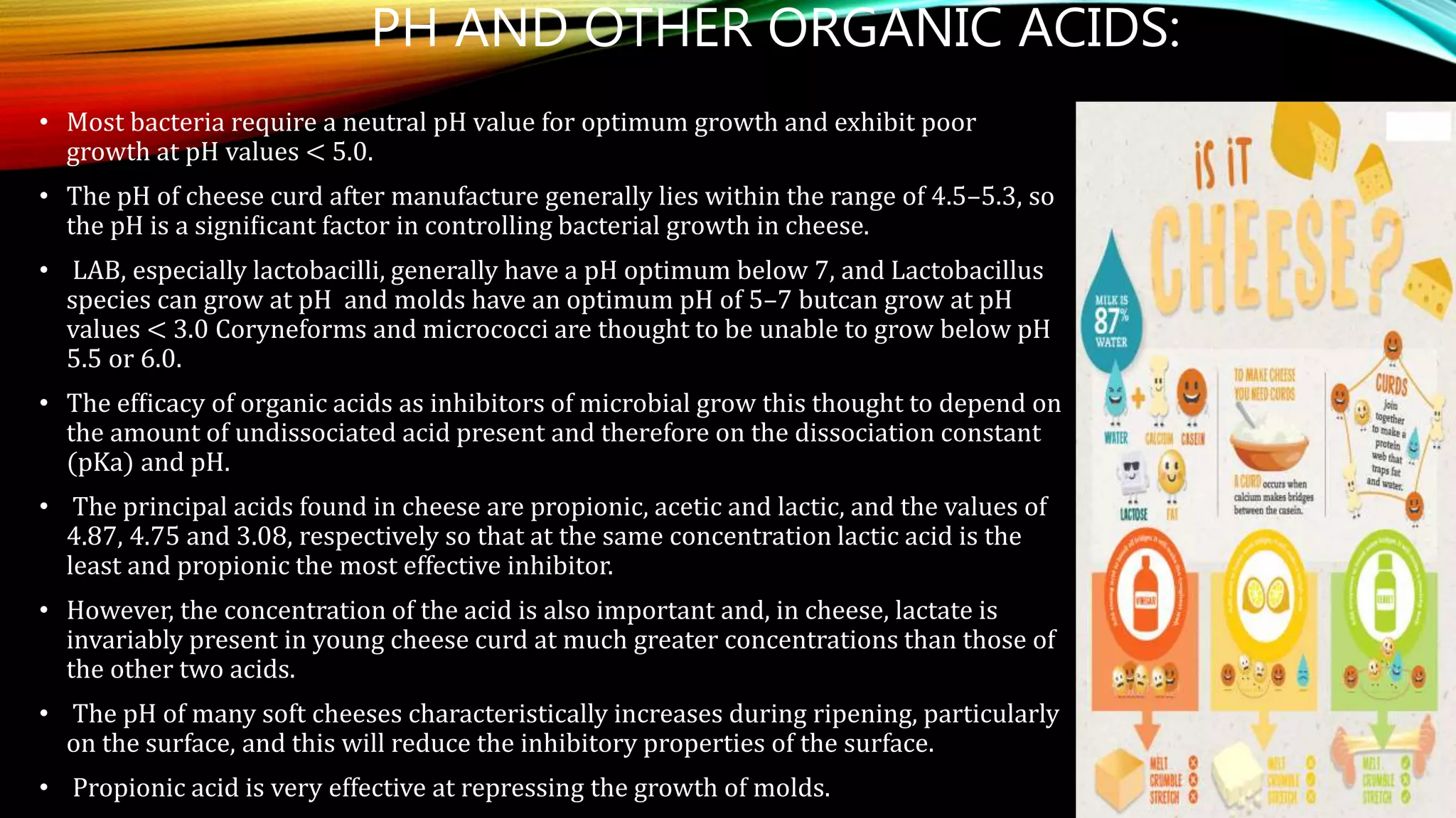 Food Microbiology (CHEESE AND KEFIR) | PPTX | Chemistry | Science