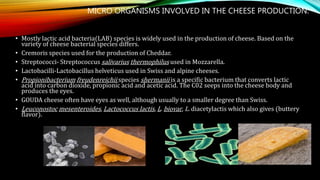 Food Microbiology (CHEESE AND KEFIR) | PPTX