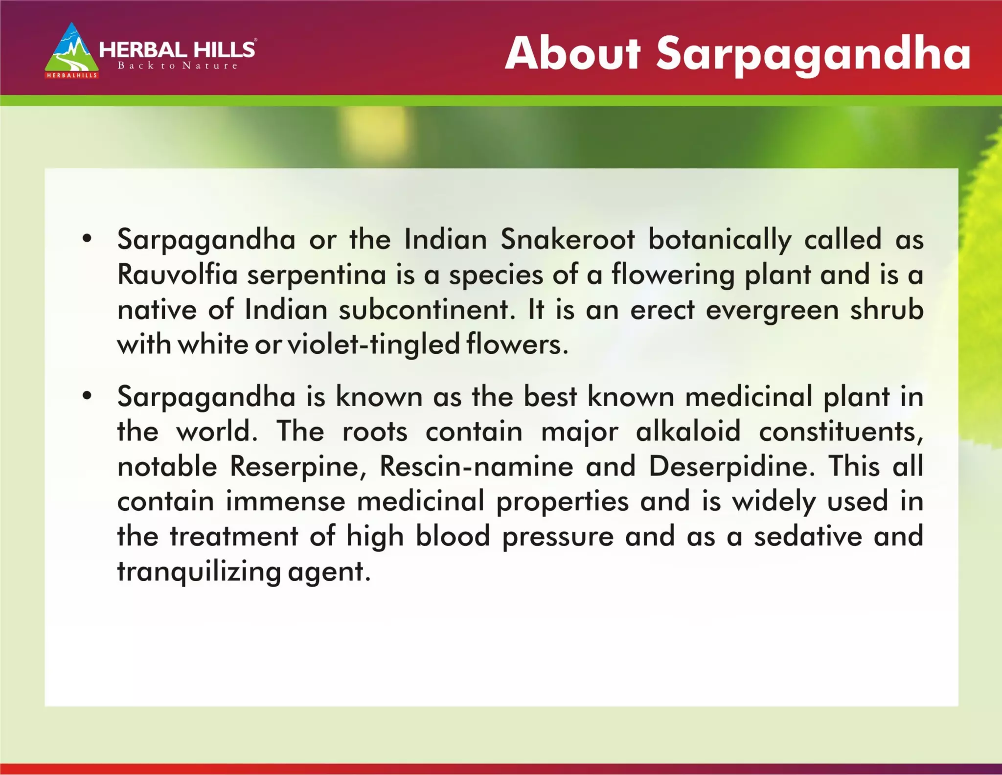 Health Benefits of Sarpagandha | PPT