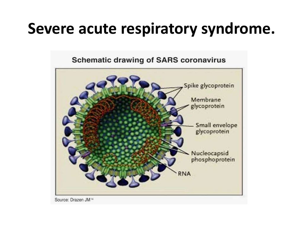 Severe Acute Respiratory Syndrome (SARS) : Treatment and prophylaxis…