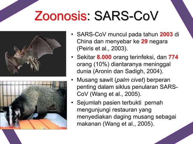 SARS-CoV-2 dan Kajian Risiko Masuknya ke Indonesia - Pusat KH & Kehani ...