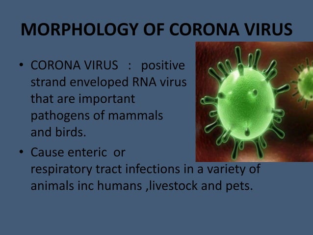 SARS clinical features treatment and complications | PPT