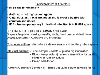 SARS Anthrax.pptx in tropical disease course | PPT