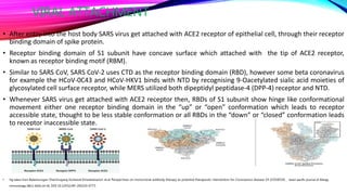 Sars cov 2 spike protein | PPTX
