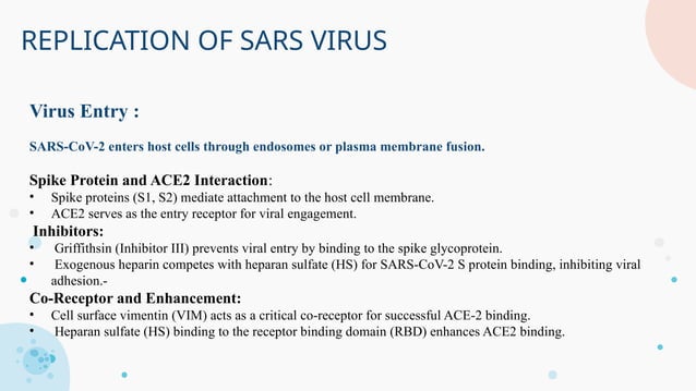 sars virus ( severe acute respiratory syndrome). | PPT