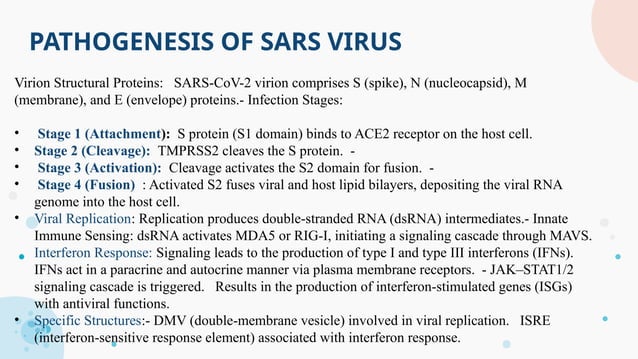 sars virus ( severe acute respiratory syndrome). | PPT
