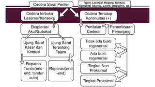 sartep.pptx