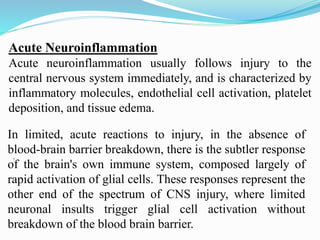 neuroinflammation | PPTX