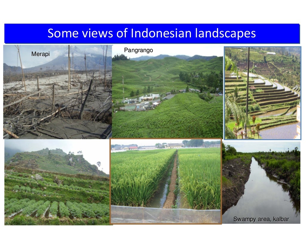 Policy and development of agricultural land resource mapping in Indon…