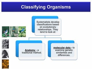 Molecular Systematics and Biodiversity | PPTX