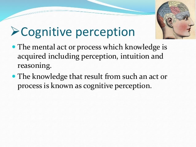 cognitive perception SA