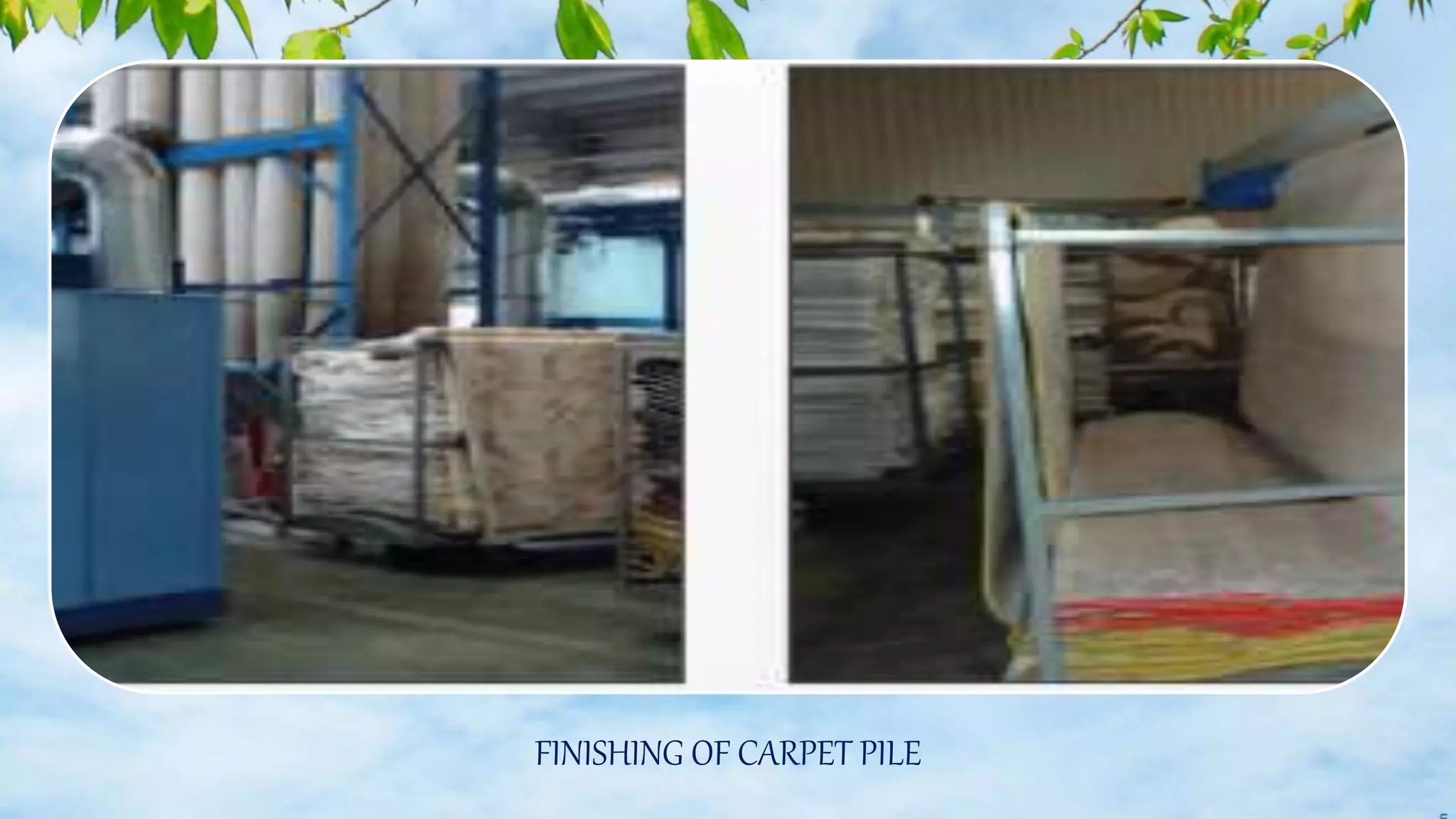 Carpet processing | PPTX