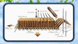 Carpet processing | PPTX