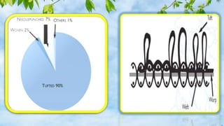 Carpet processing | PPTX