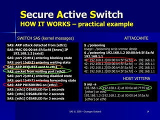 SAS (Secure Active Switch) | PPT