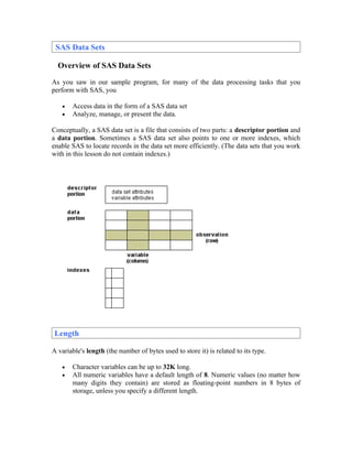 Introduction to SAS | PDF