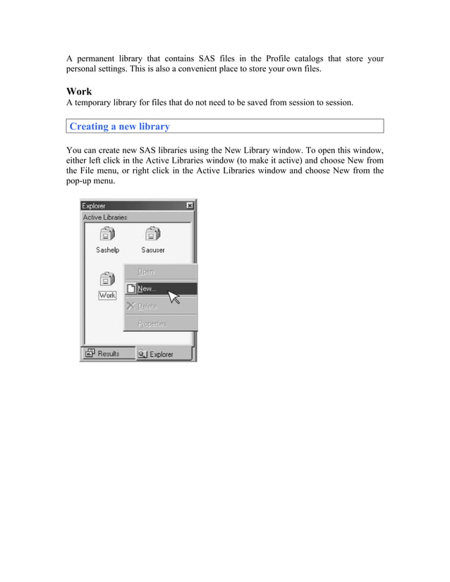 Introduction to SAS | PDF