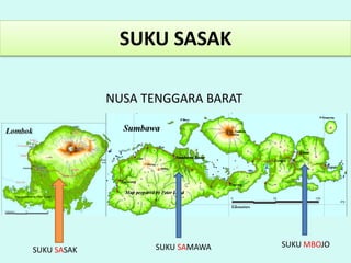 KEBUDAYAAN SUKU SASAK & SUKU SUMBA | PPTX