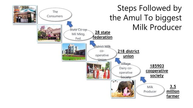 Amul Project ppt | PPT