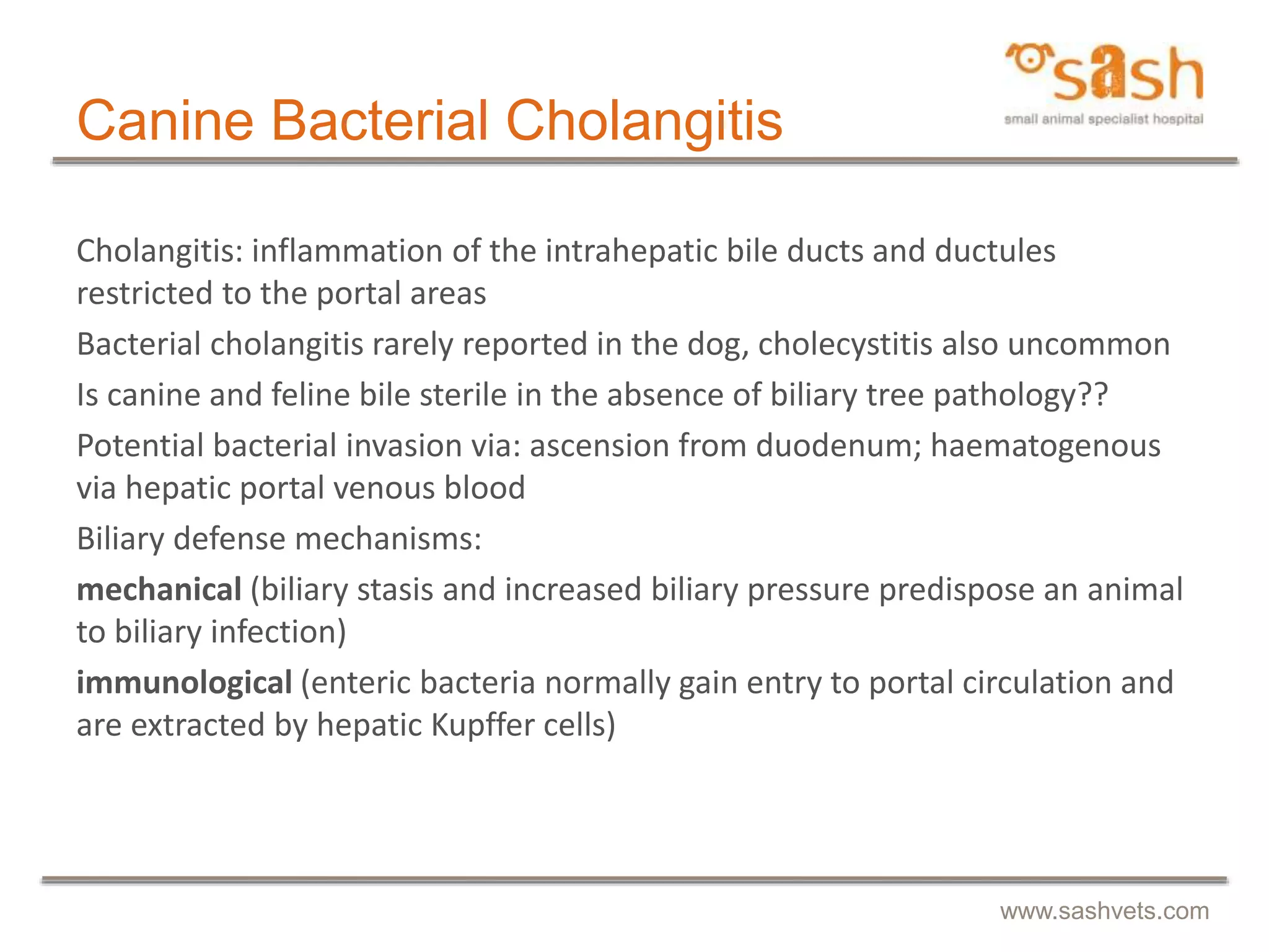 SASH : Canine Biliary Disease - Gallbladder mucocoeles, Cholangitis ...