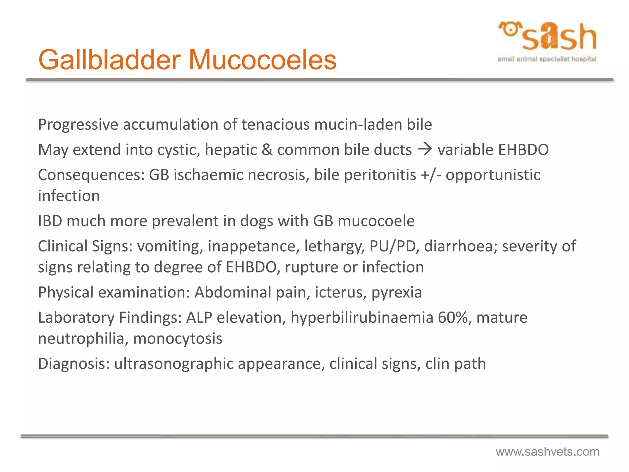 SASH : Canine Biliary Disease - Gallbladder mucocoeles, Cholangitis ...