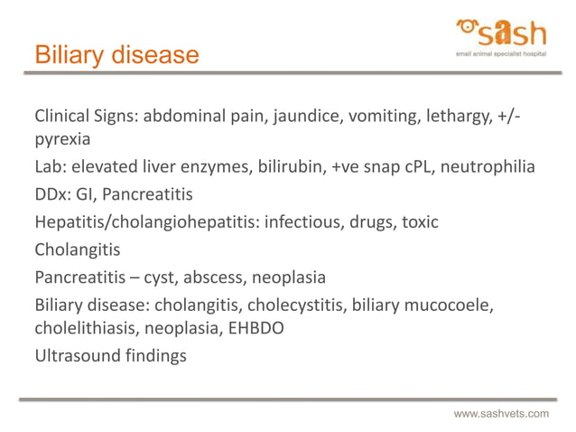 SASH : Canine Biliary Disease - Gallbladder mucocoeles, Cholangitis ...