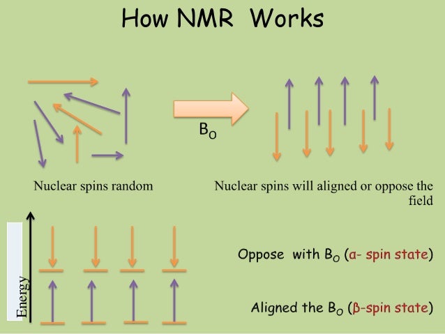 interpretation of NMR spectroscopy