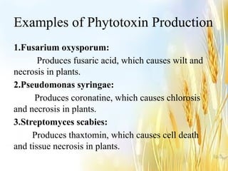 Phytotoxin production by microorganisms | PPT