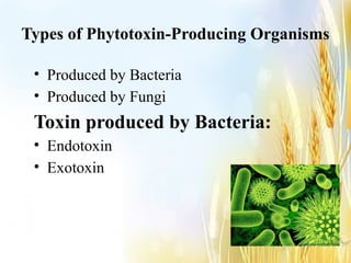 Phytotoxin production by microorganisms | PPT