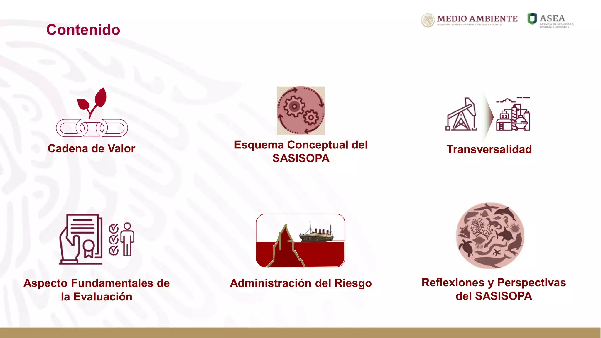 Sasisopa - Cadena de Valor | PPTX