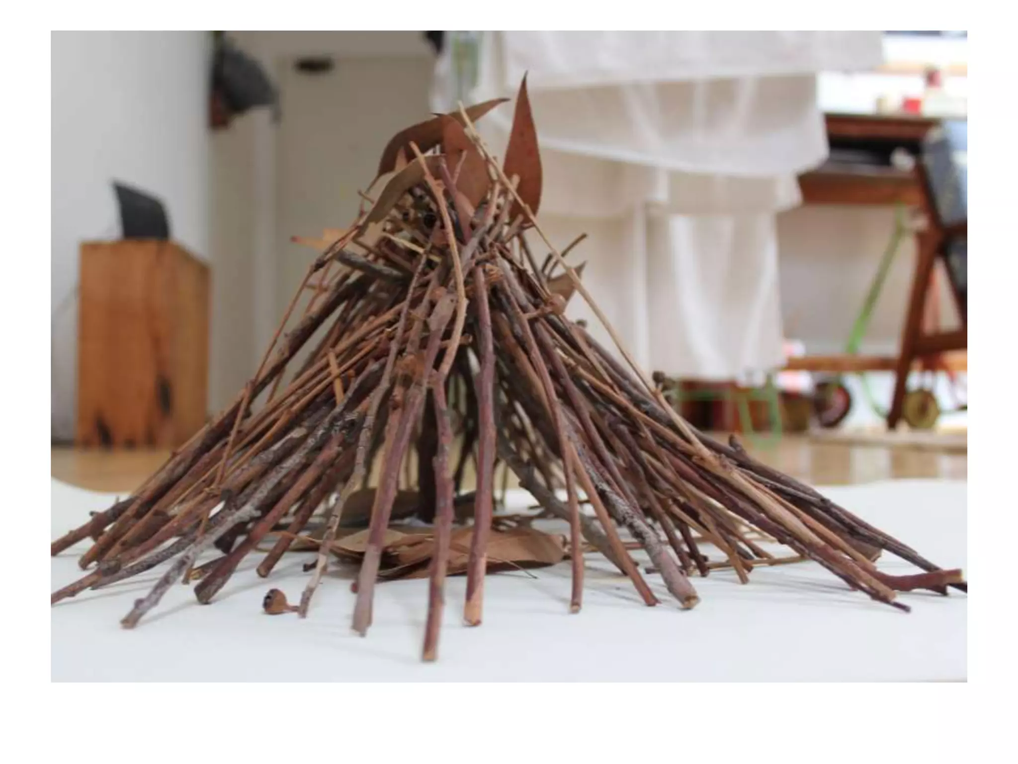 Saskia Mulder Pyre Presentation | PPT