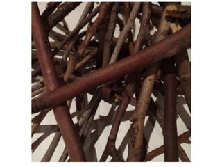 Saskia Mulder Pyre Presentation | PPT