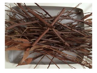 Saskia Mulder Pyre Presentation | PPT