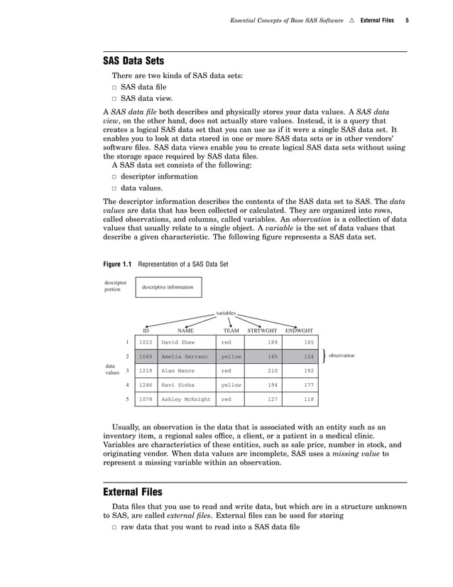 Sas language reference concepts | PDF | Programming Languages | Computing