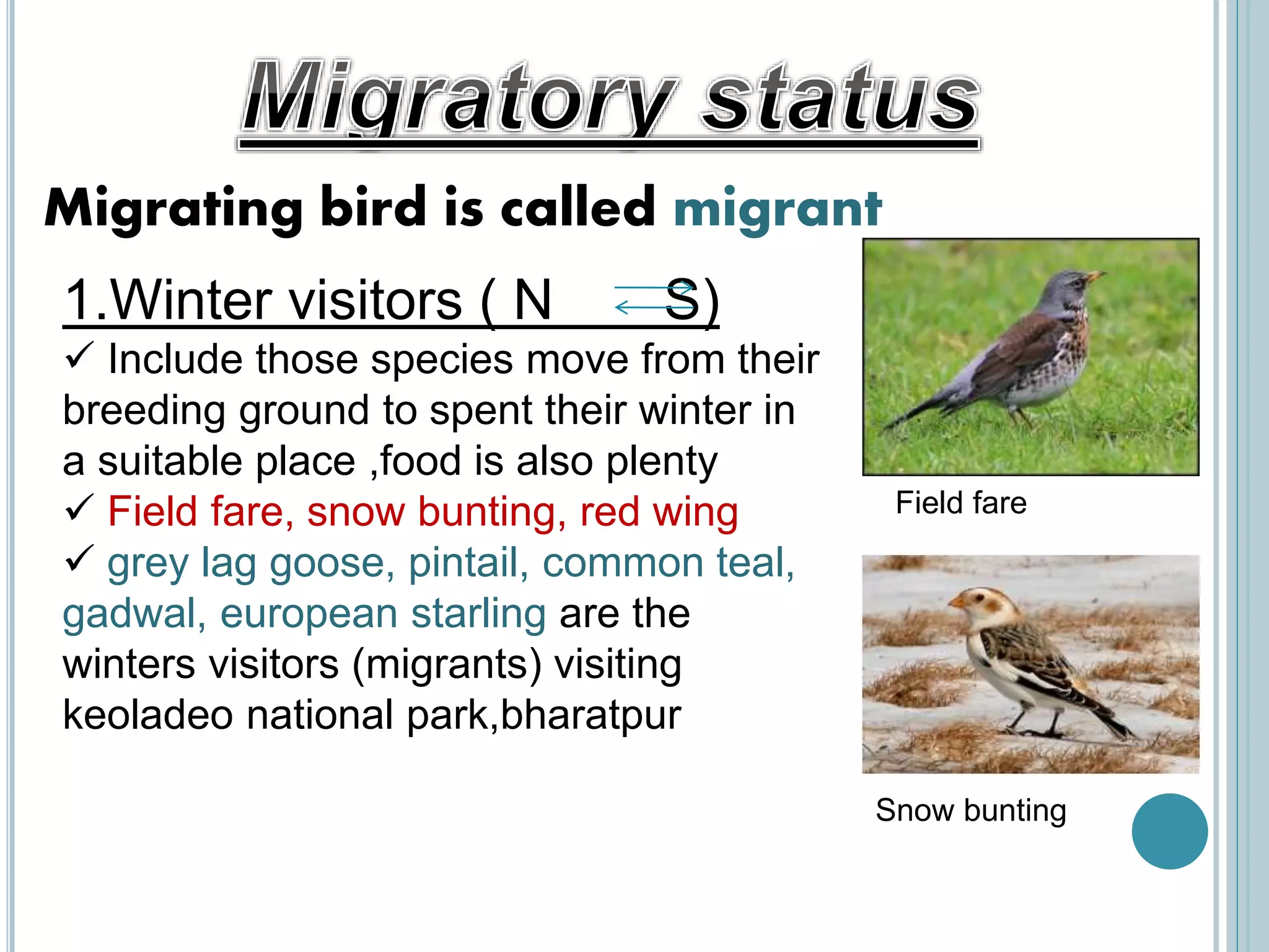 migration of animals | PPTX